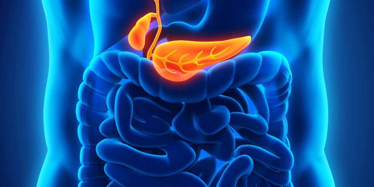 Erkrankungen der Gallenblase - Asklepios-ASB Klinik Radeberg