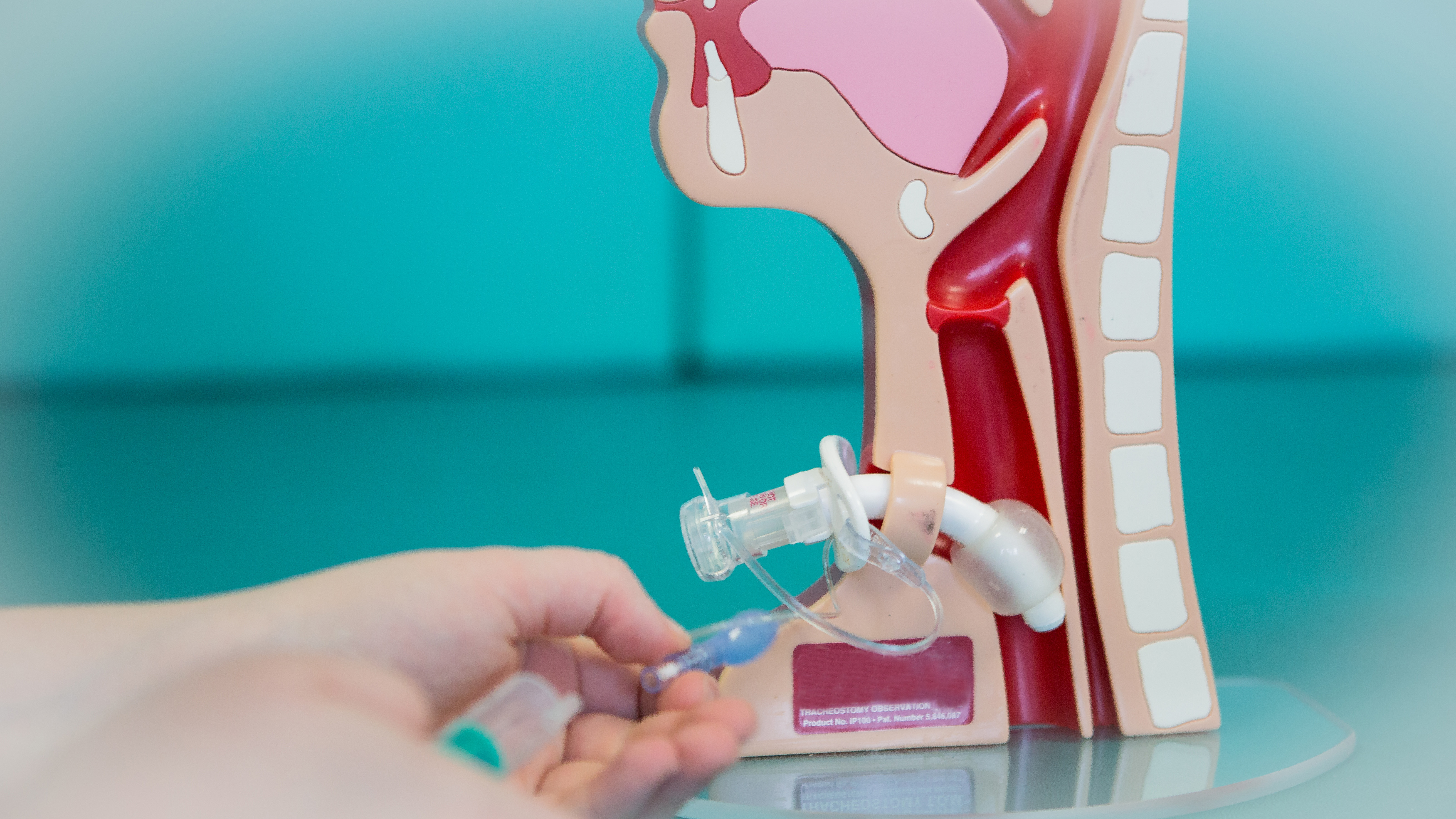 Ergotherapie Intensiv - Asklepios Neurologische Klinik Bad Salzhausen